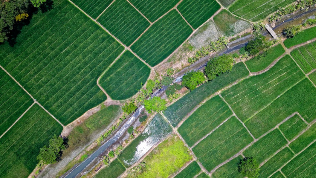 1HA는 몇평일까? 소규모 자투리 농업지역 헥타르 환산방법